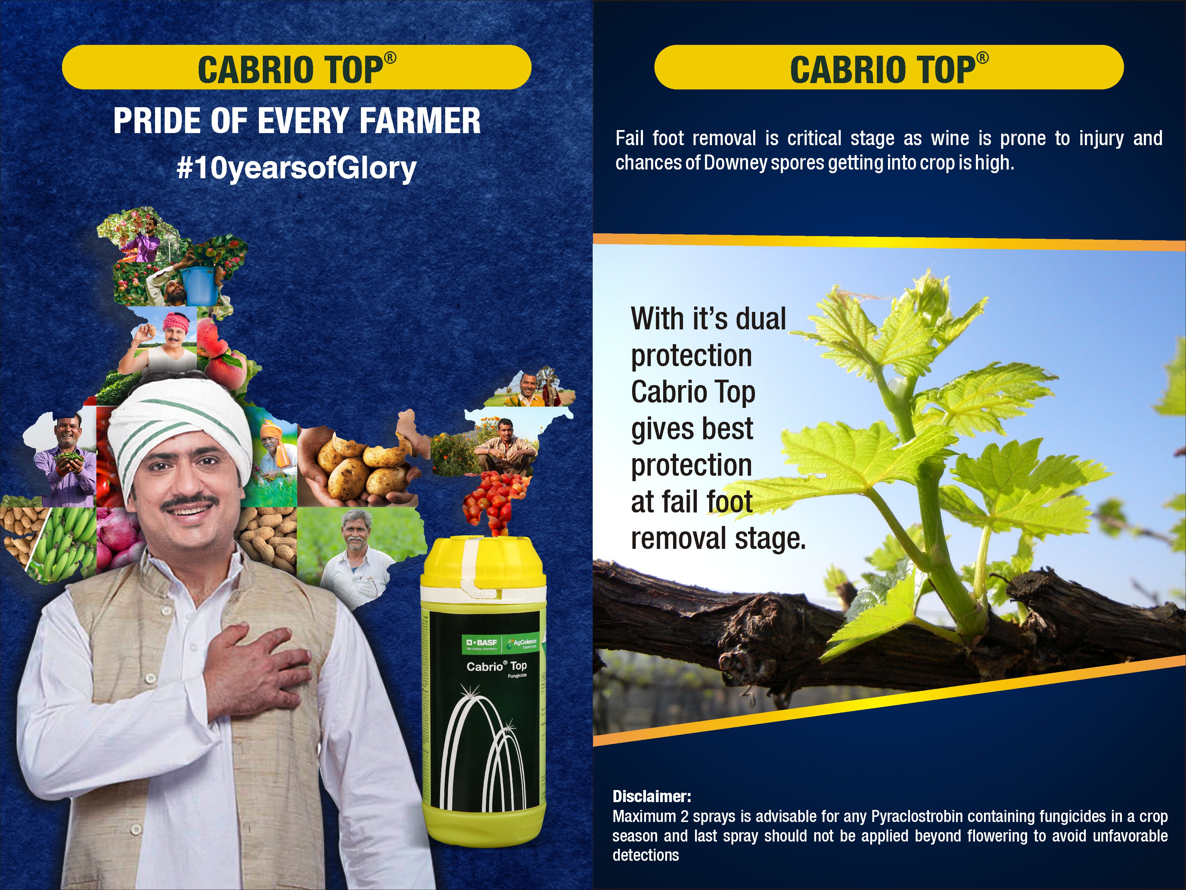 Solutions for Grapes | BASF Crop Protection India